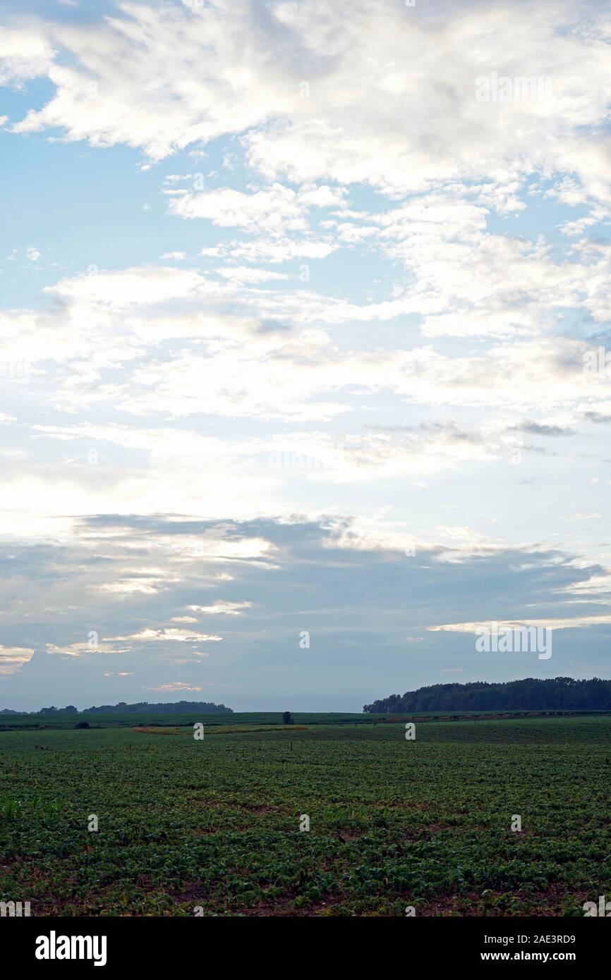 indiana farm feilds Stock Photo - Alamy