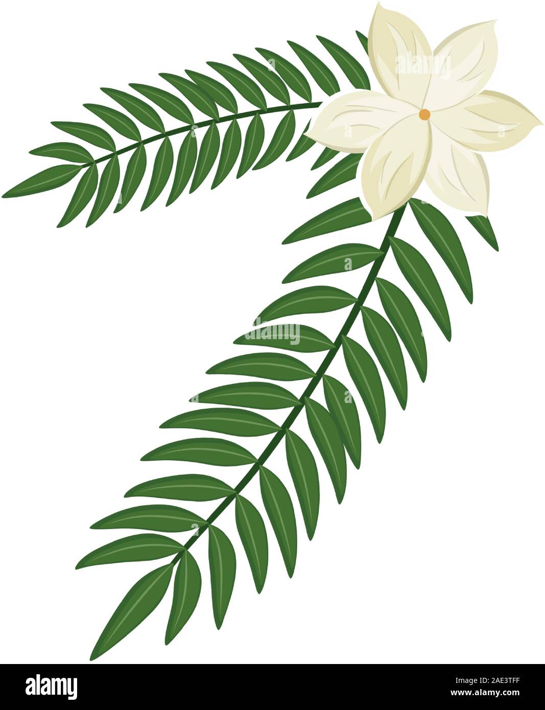 cute flower with branches and leafs isolated icon Stock Vector Image ...