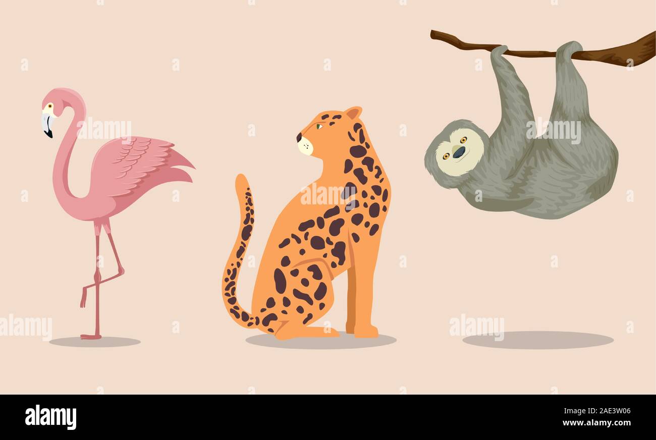 set of animals exotics tropicals Stock Vector Image & Art - Alamy
