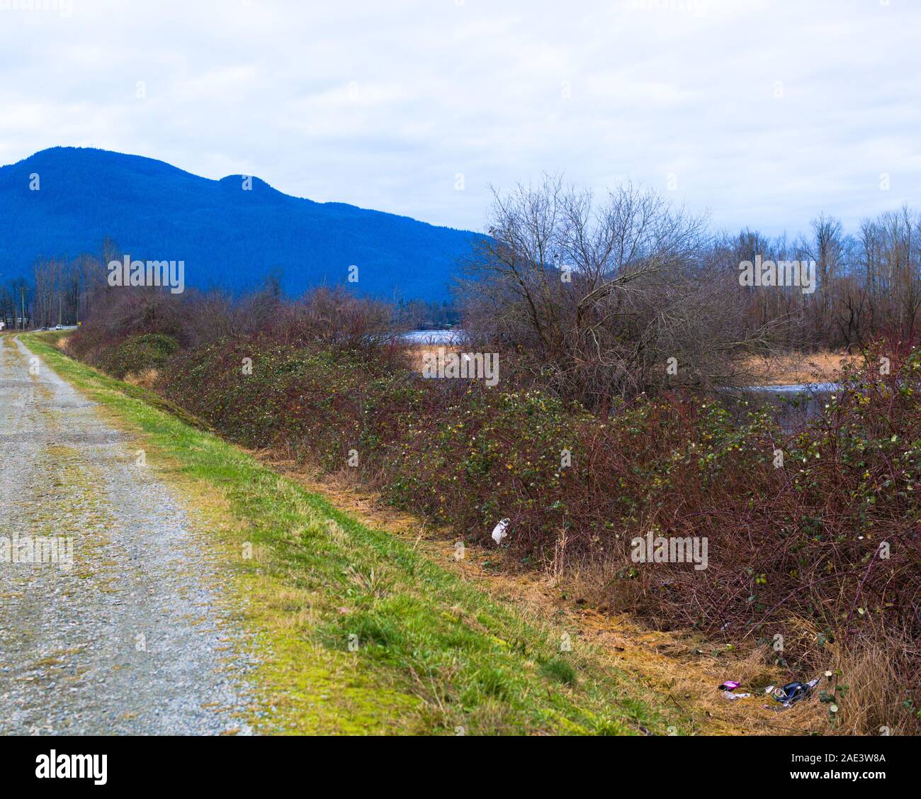 Nicomen island landscapes hi-res stock photography and images - Alamy
