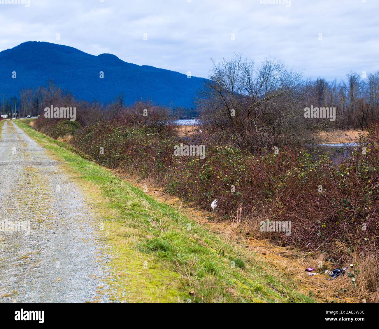 Nicomen island landscapes hi-res stock photography and images - Alamy