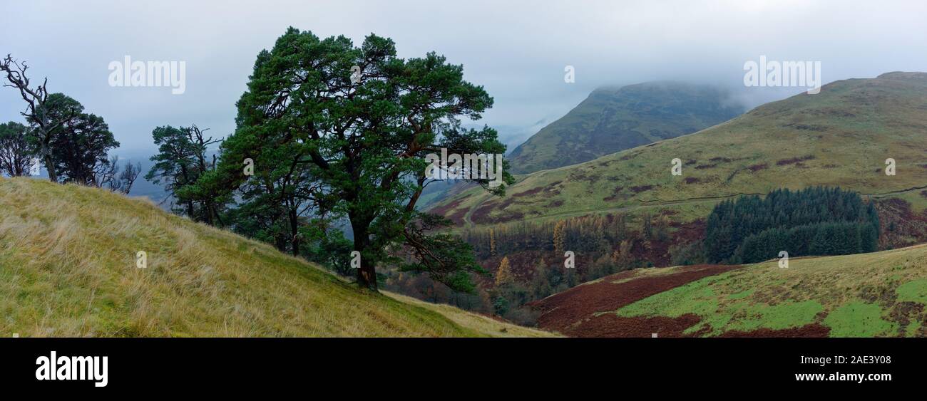 Panoramic image looking down hi-res stock photography and images - Alamy