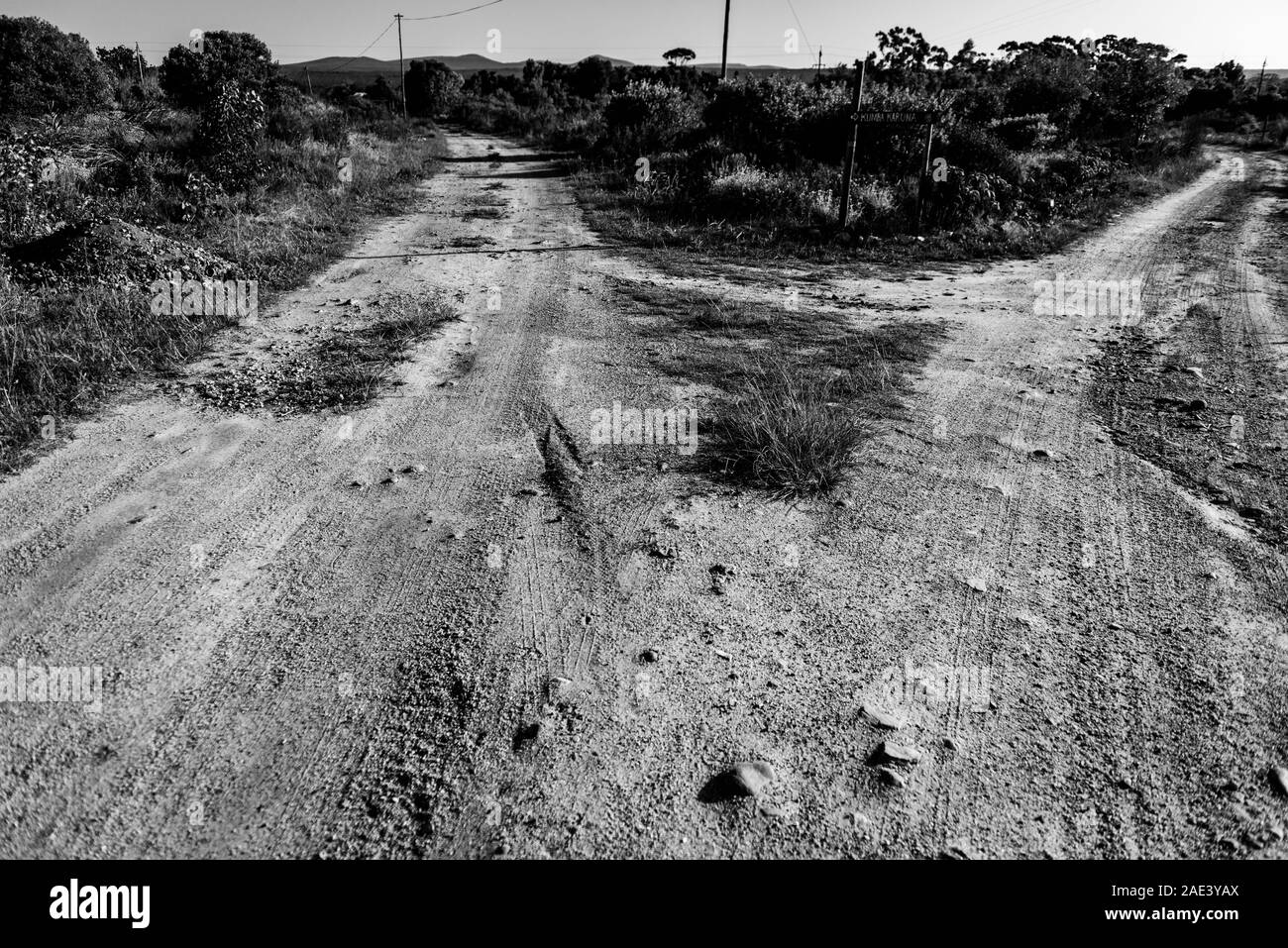 A farm road forks in the Overberg region near Stanford village in South ...