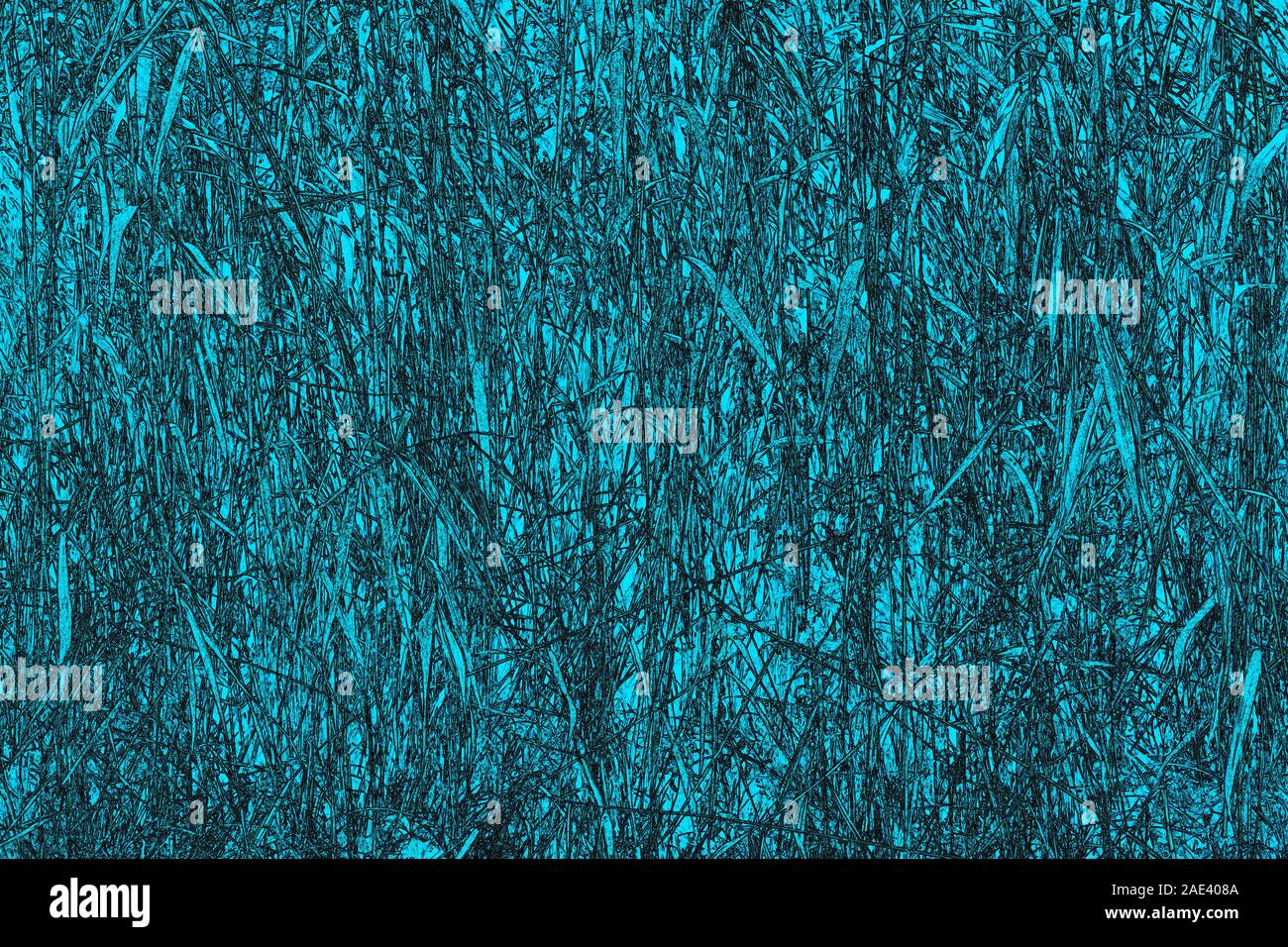 Petrol colored background with natural plant textures of different ...