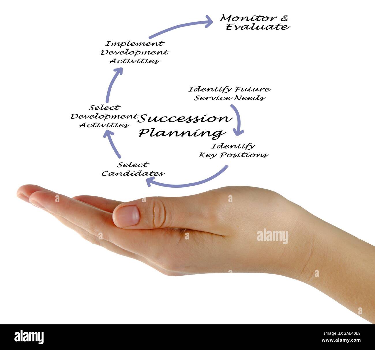 Succession Planning Process Stock Photo - Alamy Succession Planning Process Stock Photo - Alamy
