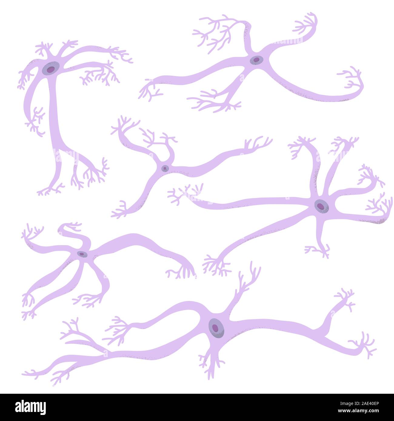 Neuron cells set. Collection of brain neurocyte. Vector illustartion ...