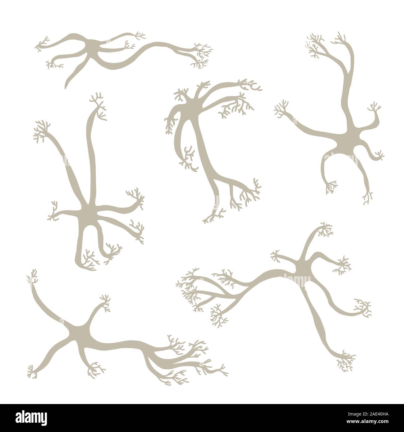 Neuron cells set. Collection of brain neurocyte. Vector illustartion ...
