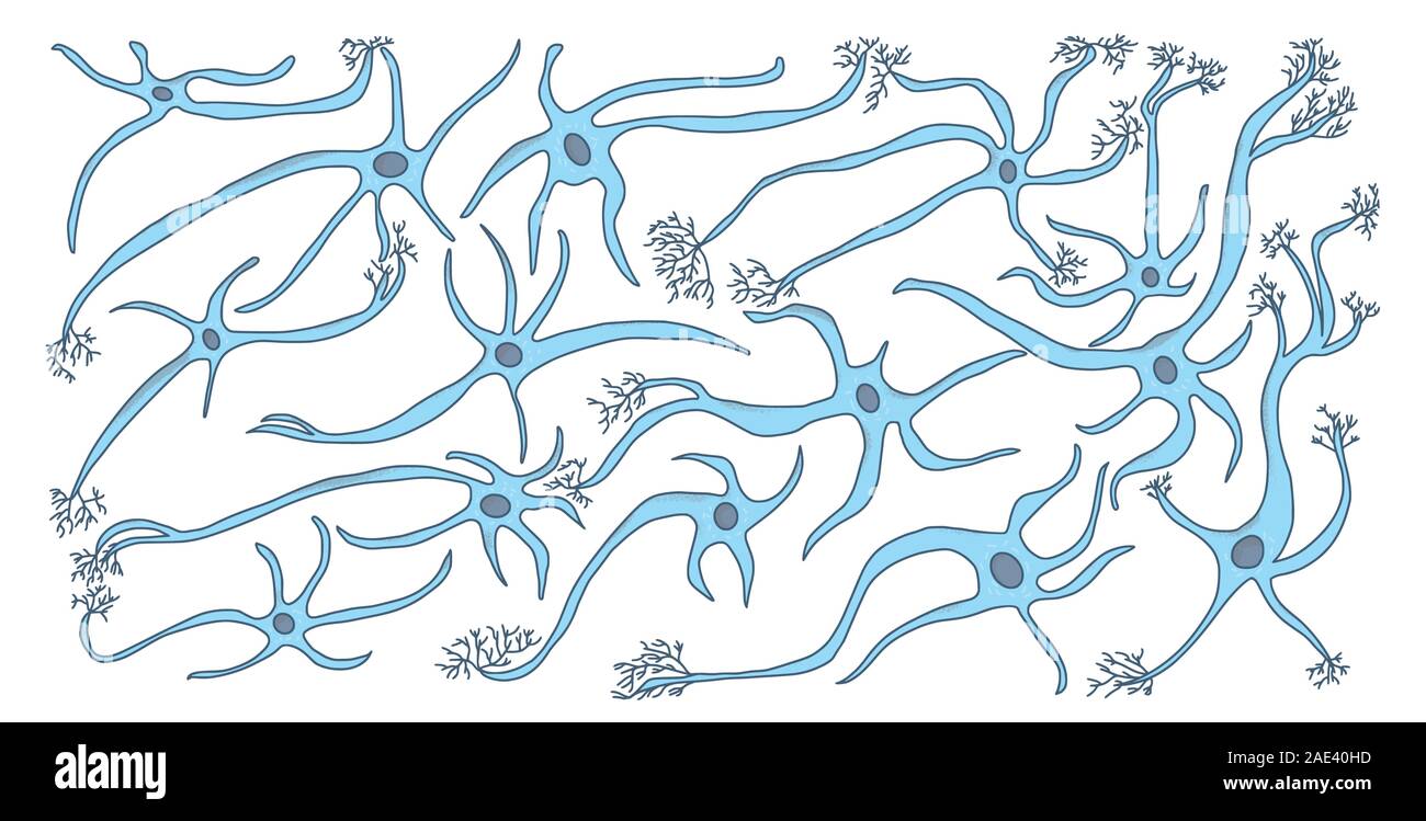 Neuron cells set. Collection of brain neurocyte. Vector illustartion ...
