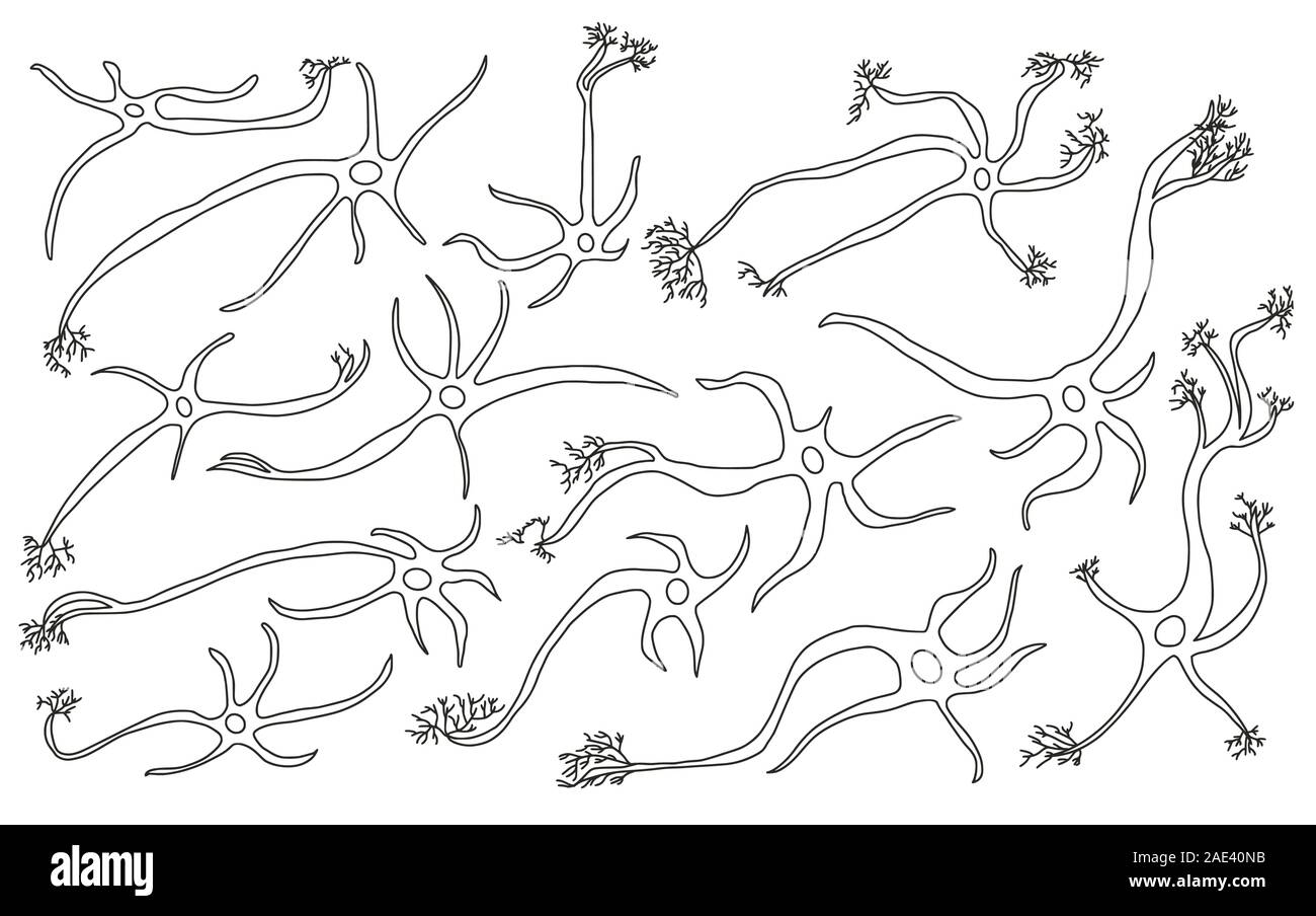 Neuron cells set. Collection of brain neurocyte. Vector illustartion in ...