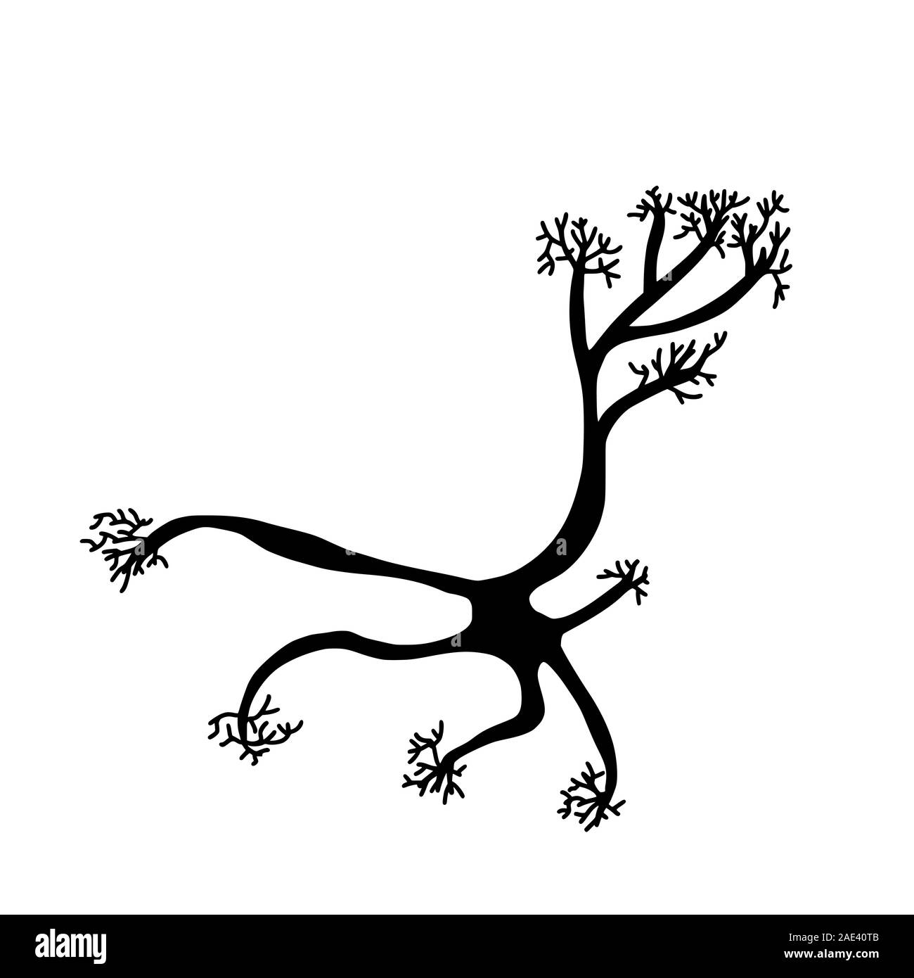 Neuron cell isolated. Brain silhouette cell with axones and dendrites ...