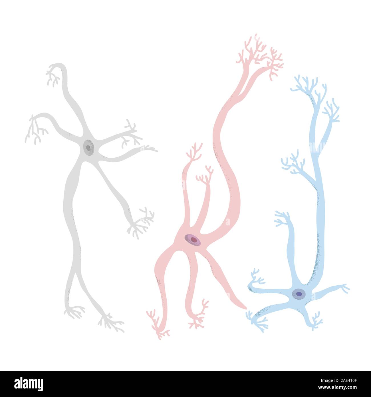 Neuron cells set. Collection of brain neurocyte. Vector illustartion ...
