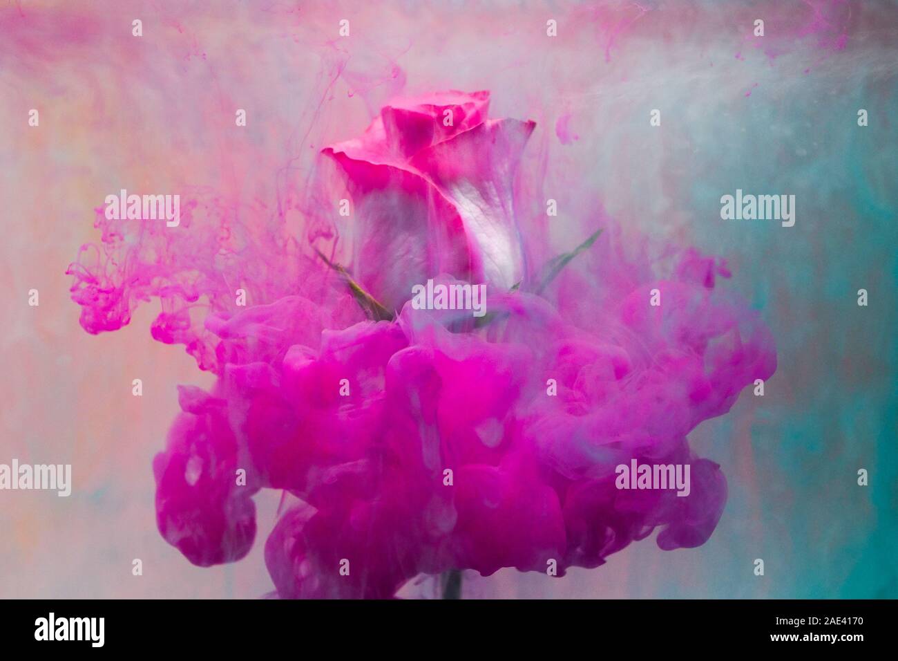 Amazing colorful composition hi-res stock photography and images - Alamy