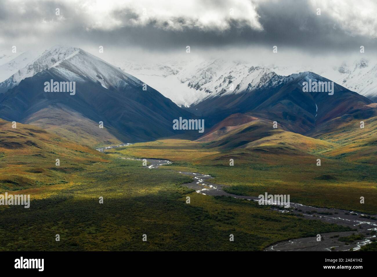 North America; United States; Alaska Range Mountains; Polychrome Pass ...