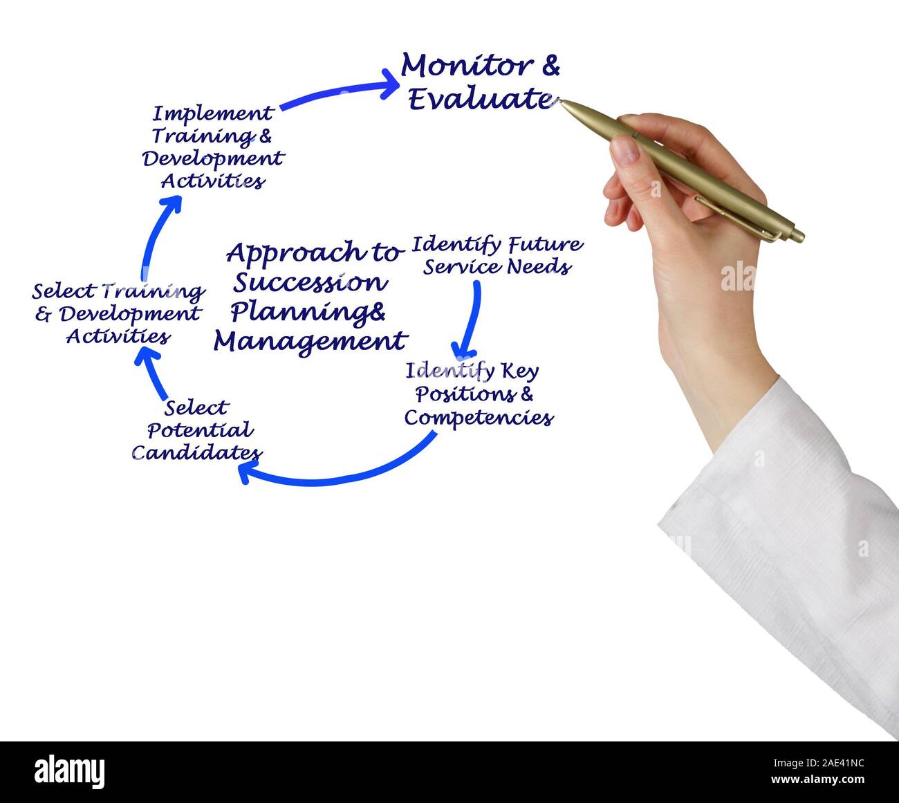 Approach to Succession Planning & Management Stock Photo - Alamy