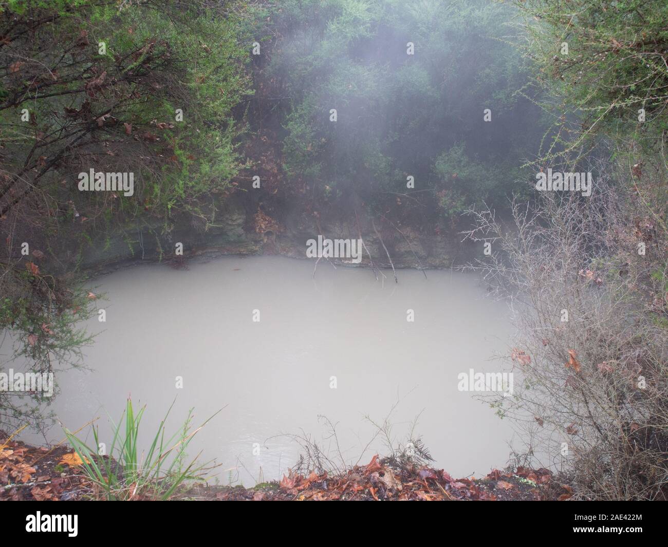 Geothermal Water And Steam From A Mud Pool Stock Photo - Alamy