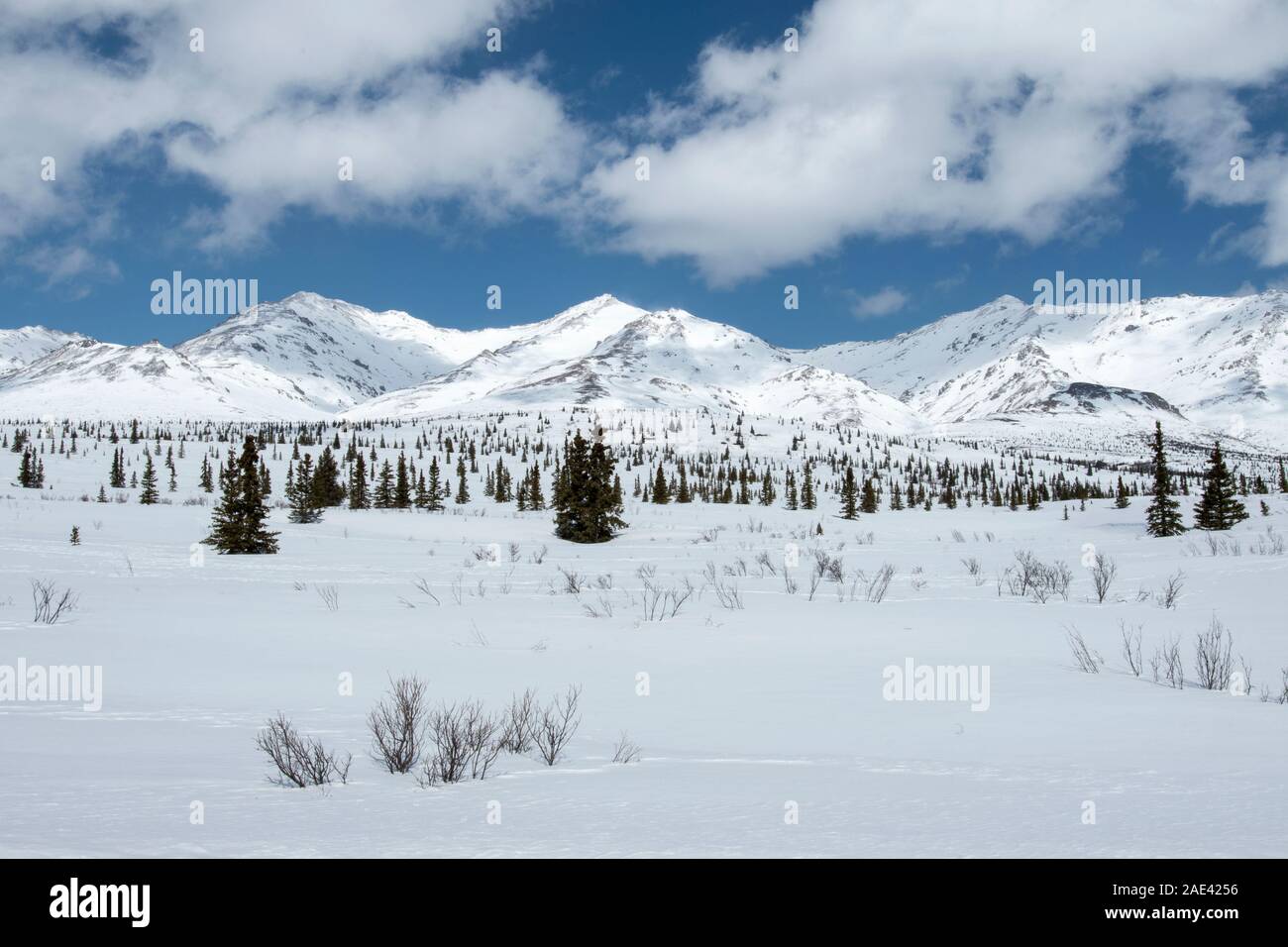 Tundra mountains winter hi-res stock photography and images - Alamy