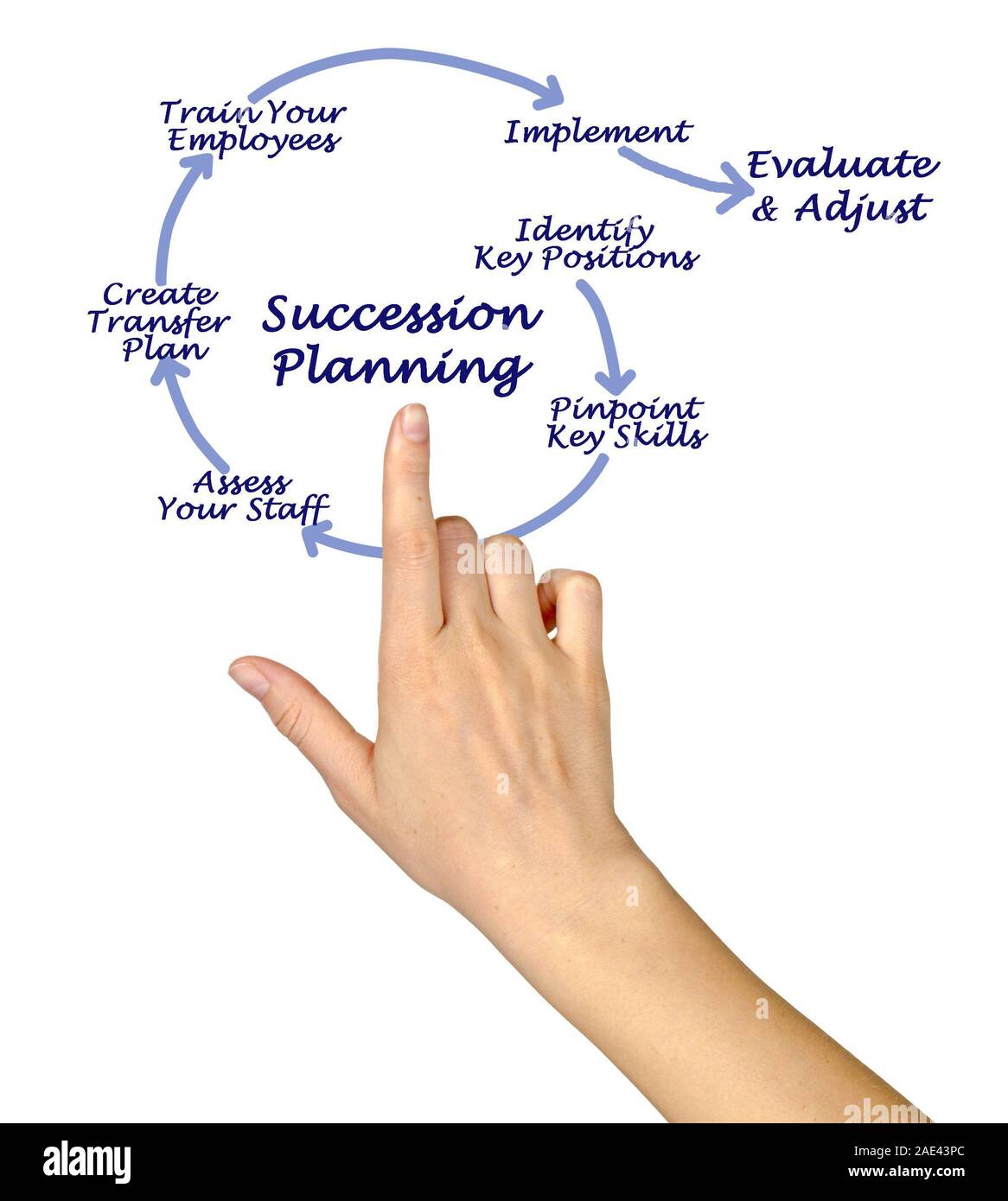 Succession Planning for successful succession Stock Photo - Alamy