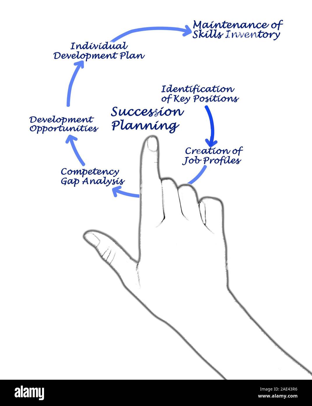 Six Steps in Succession Planning Stock Photo - Alamy