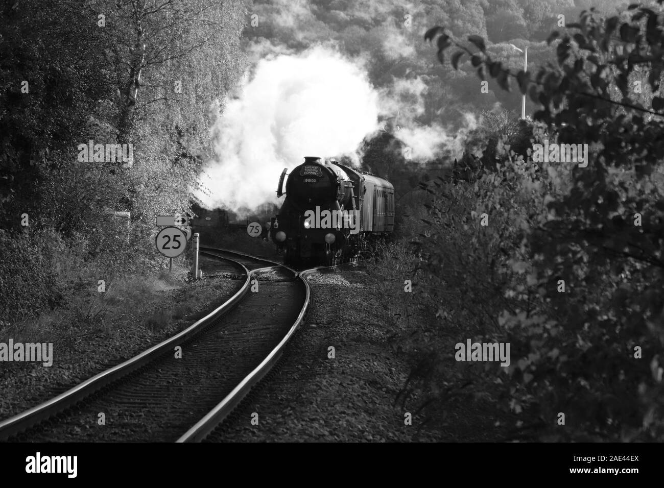 Flying scotsman black and white hi-res stock photography and images - Alamy