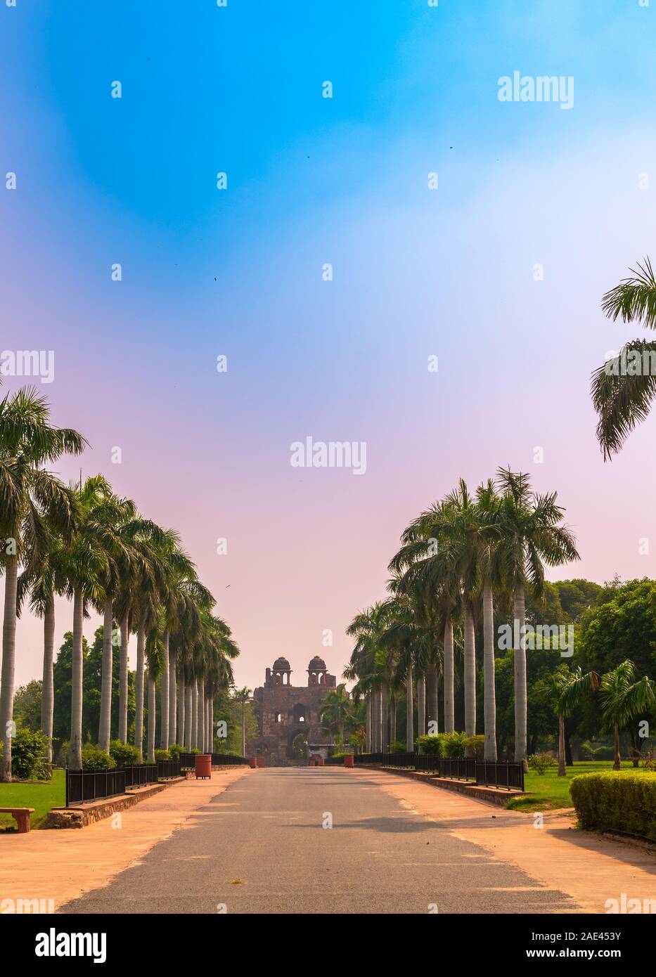 Part view of the the south gate, also popularly known as the 'Humayun ...