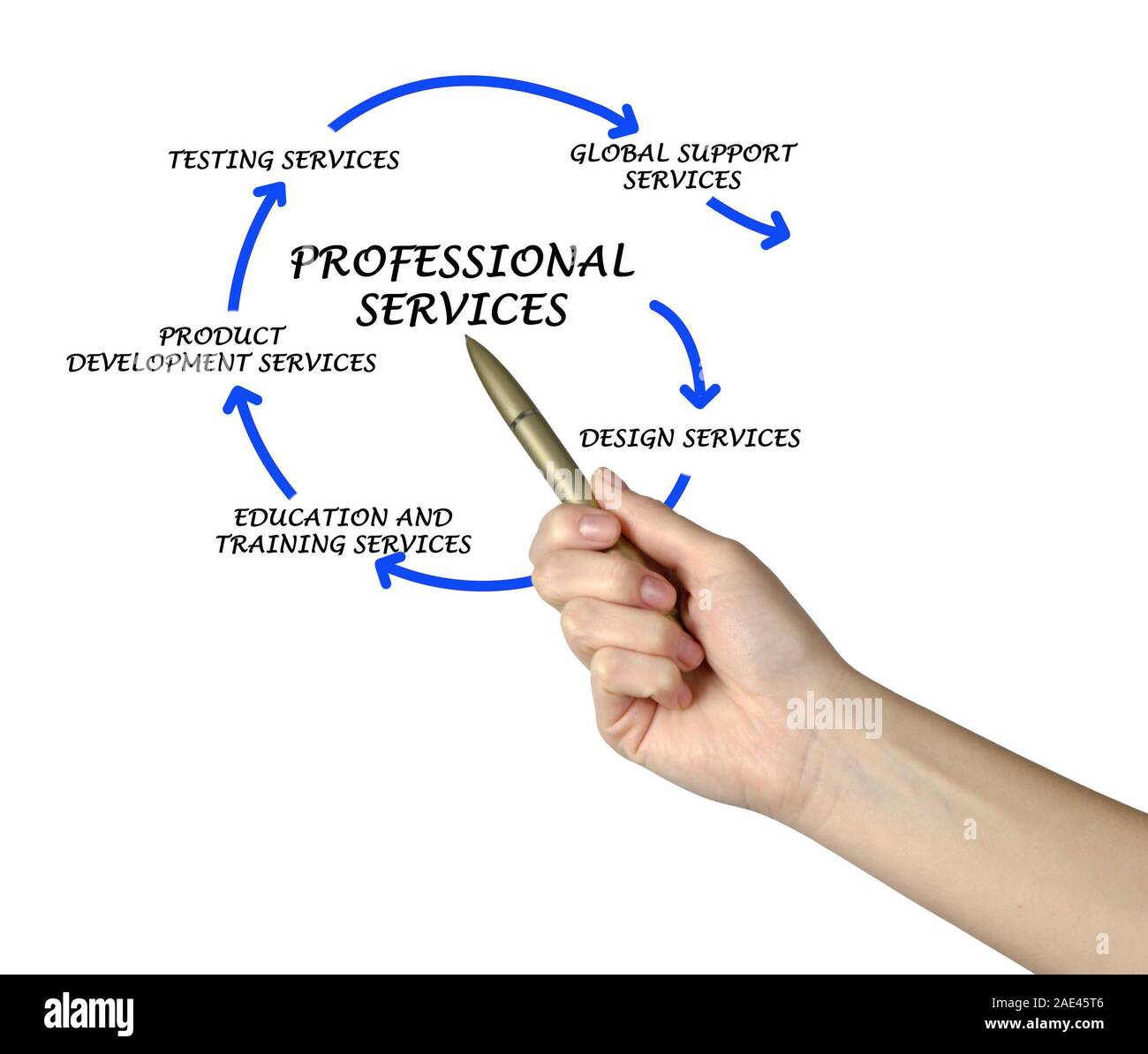 Diagram of professional services Stock Photo - Alamy
