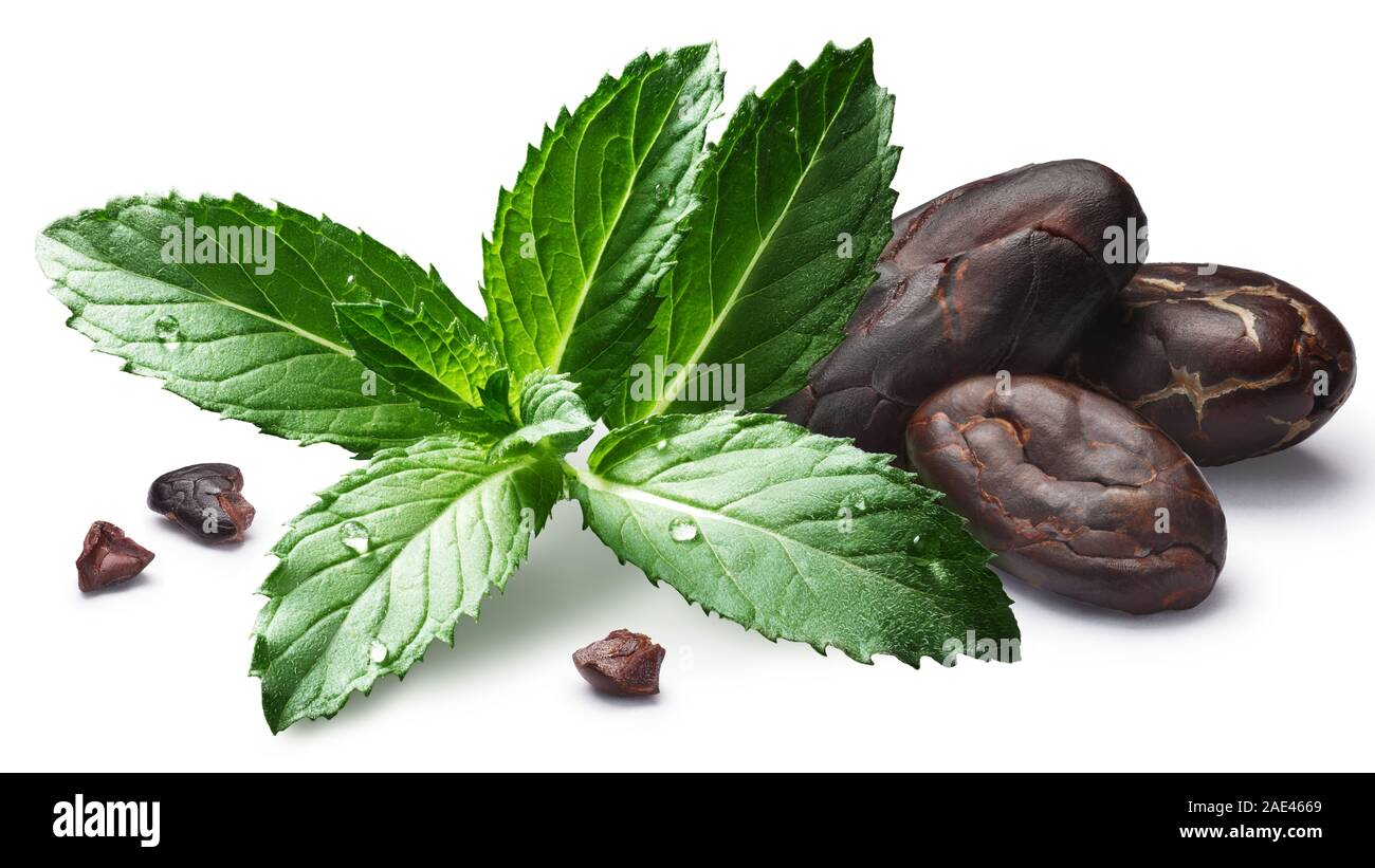 Mint with shelled cocoa beans, isolated Stock Photo - Alamy