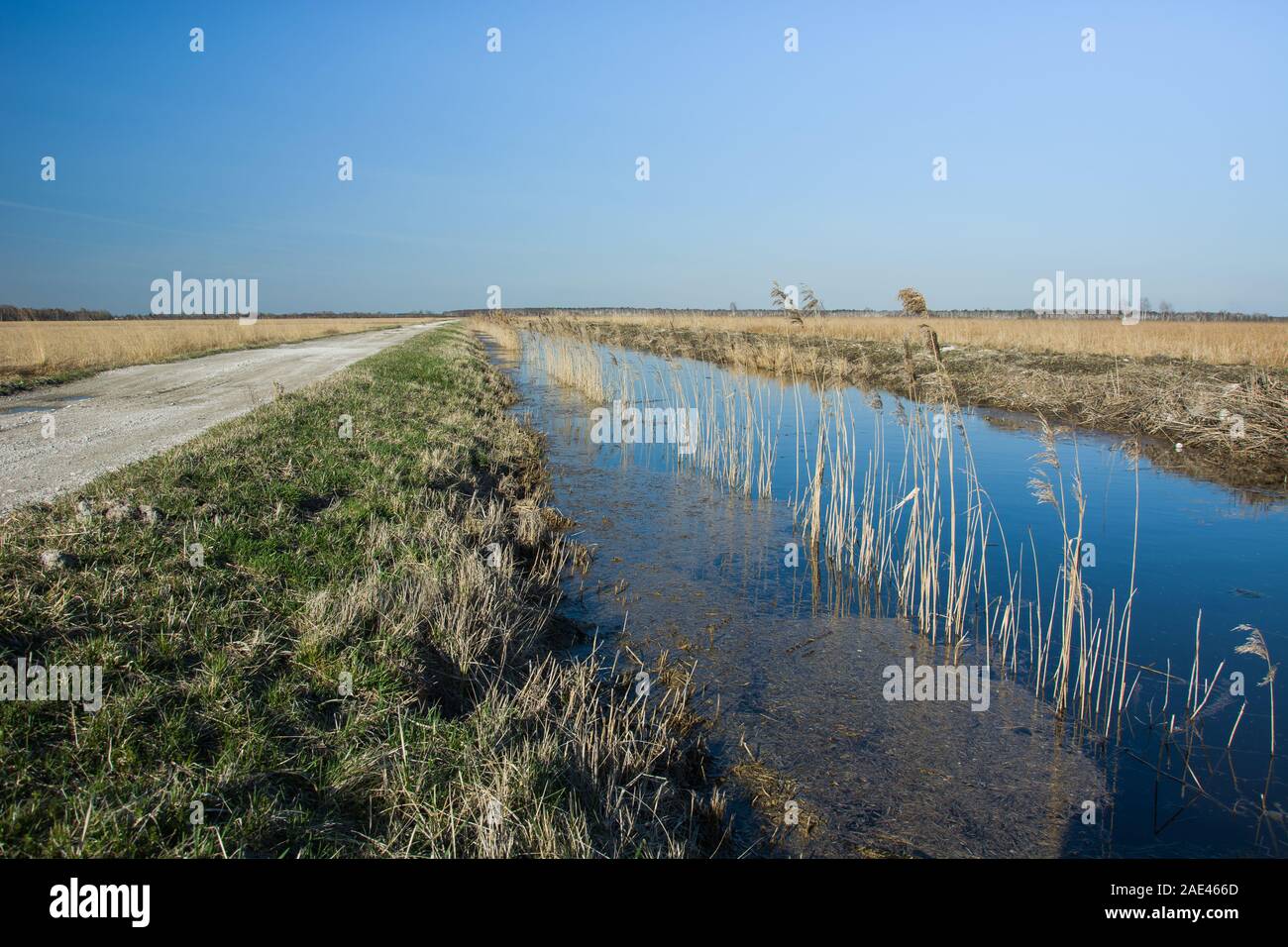 Road and water canal Stock Photo - Alamy