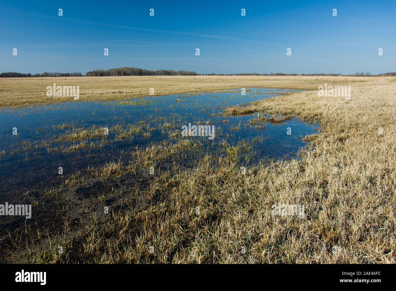 Meadow steppe hi-res stock photography and images - Alamy