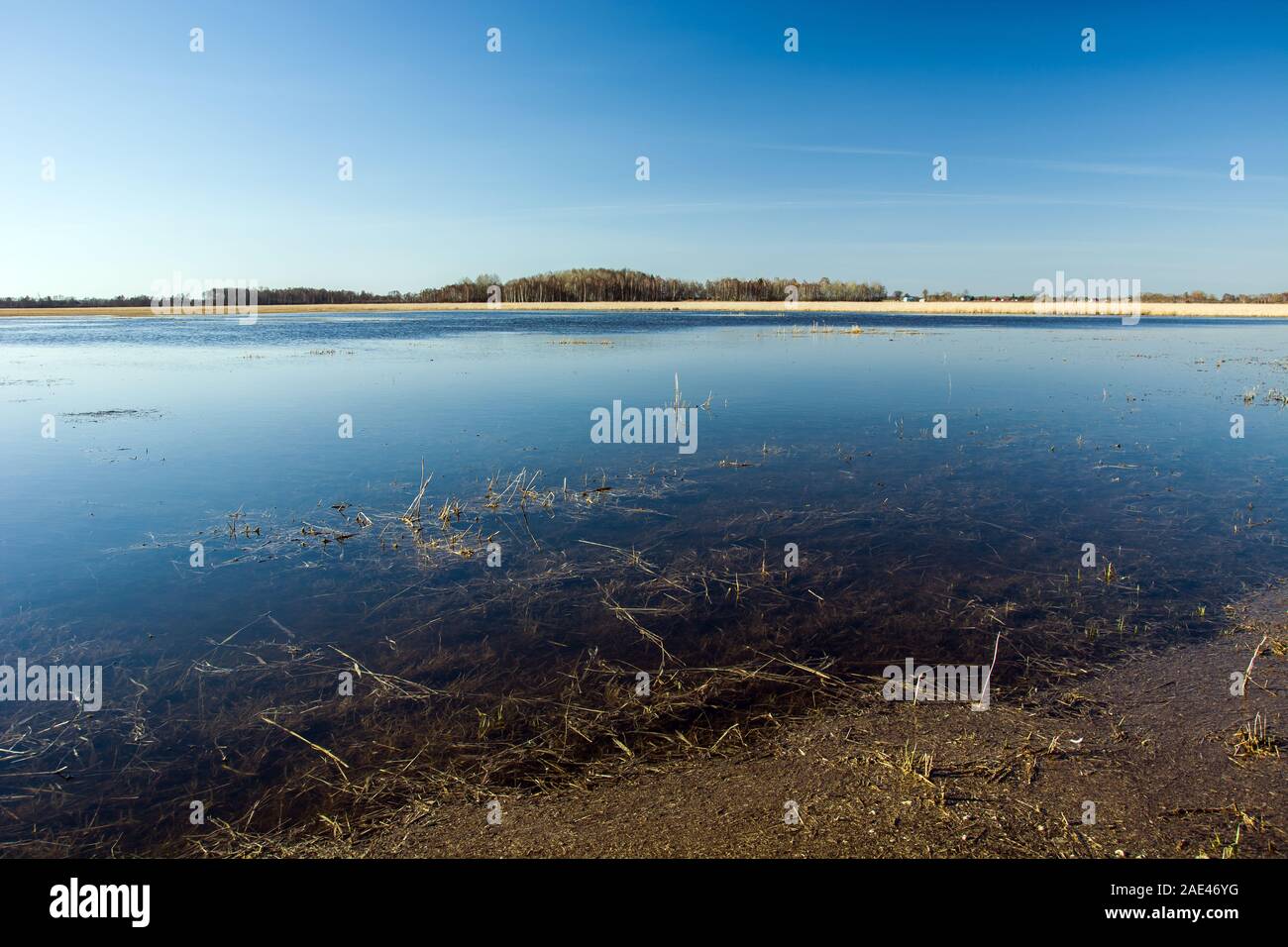 Natural horizon view hi-res stock photography and images - Alamy