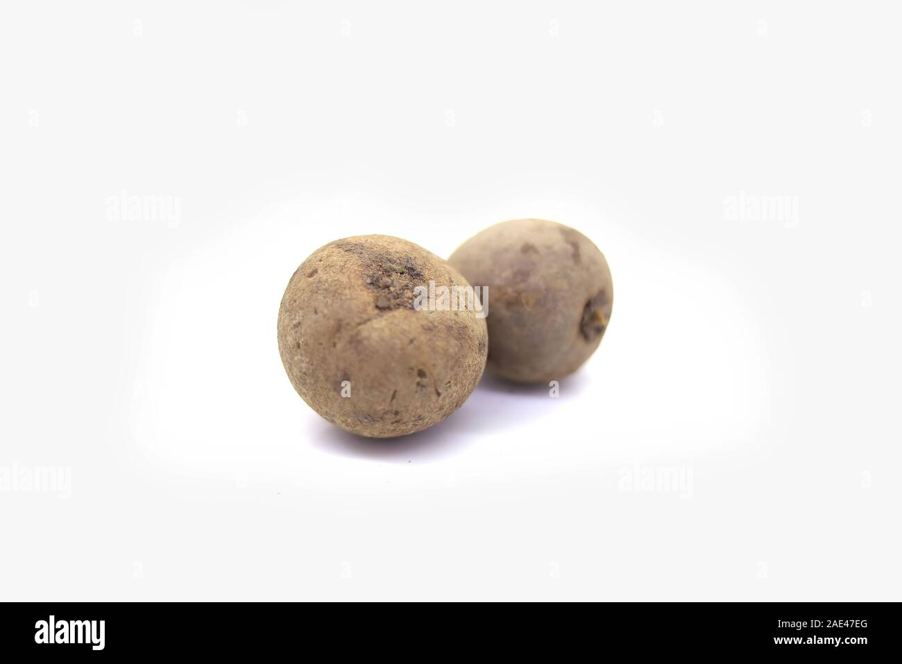 Closeup fresh whole sapota fruit isolated on white backgrounds Stock ...