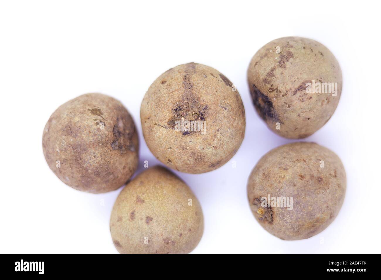 Top view fresh whole sapota fruit isolated on white backgrounds Stock ...