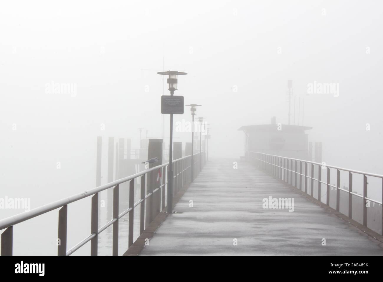 Walk in november fog Stock Photo - Alamy