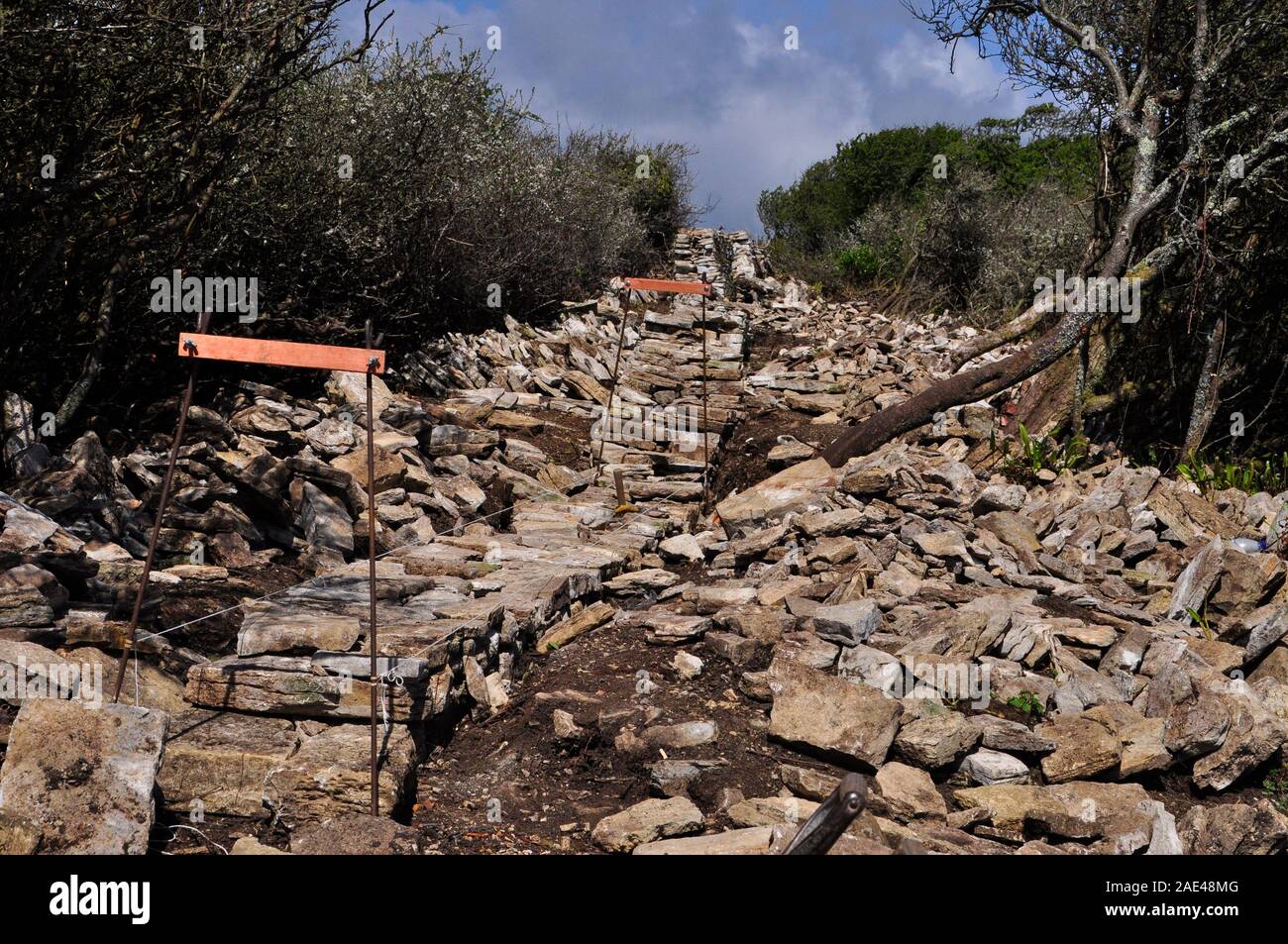 Stone wall being marked out and started to rebuild with stones from the ...