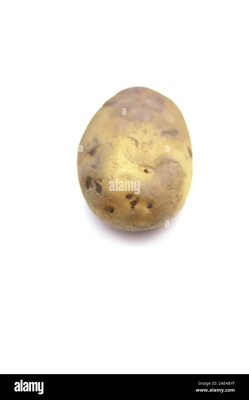 Isolated potatoes. raw potato vegetables isolated on white background ...