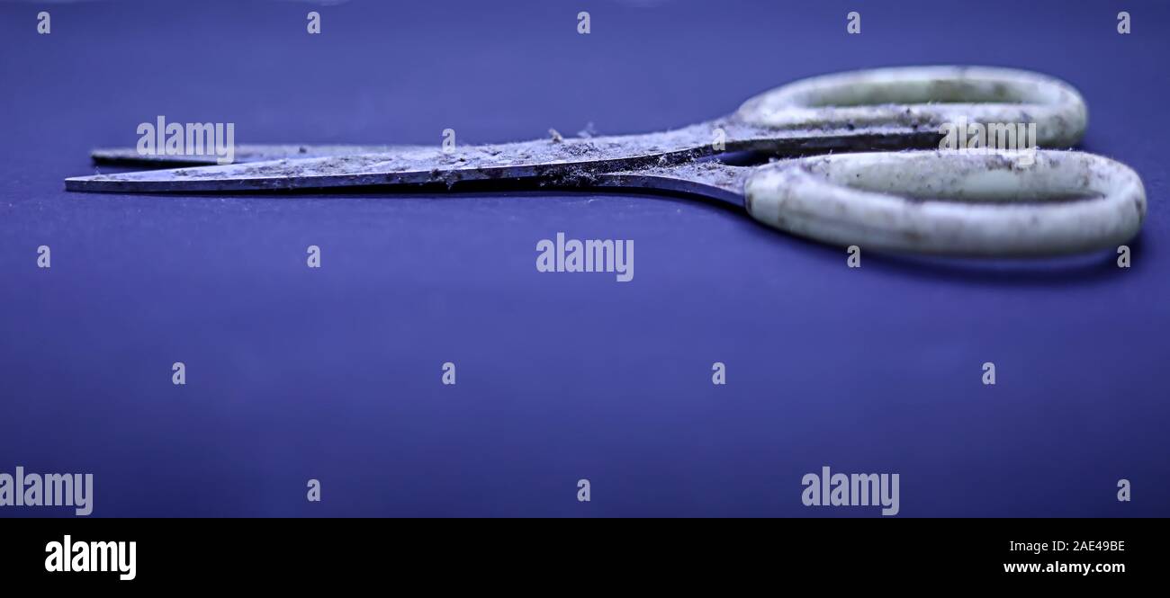 Old Rusty Scissors High Resolution Stock Photography and Images - Alamy