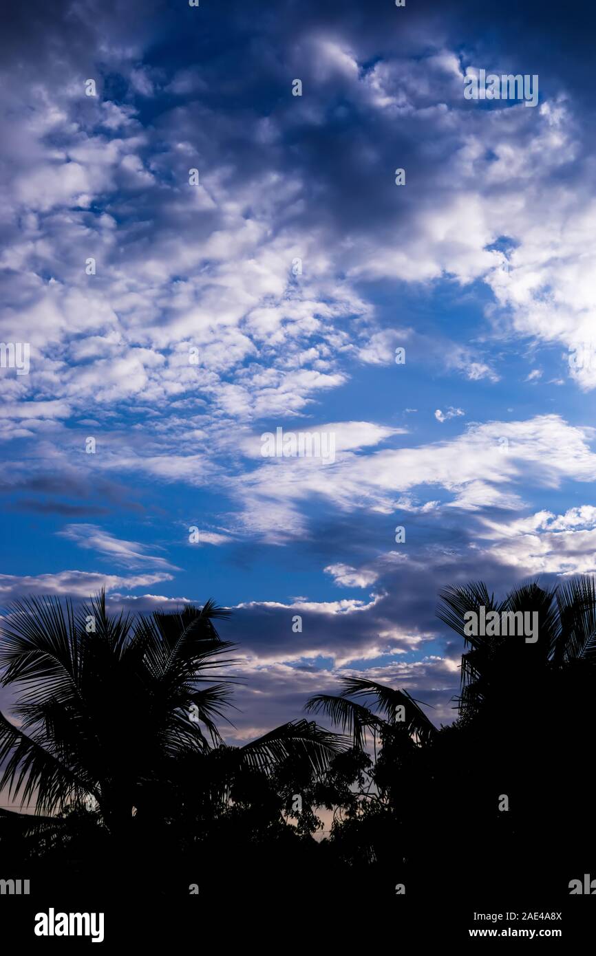 Beautiful summer daylight view hi-res stock photography and images - Alamy