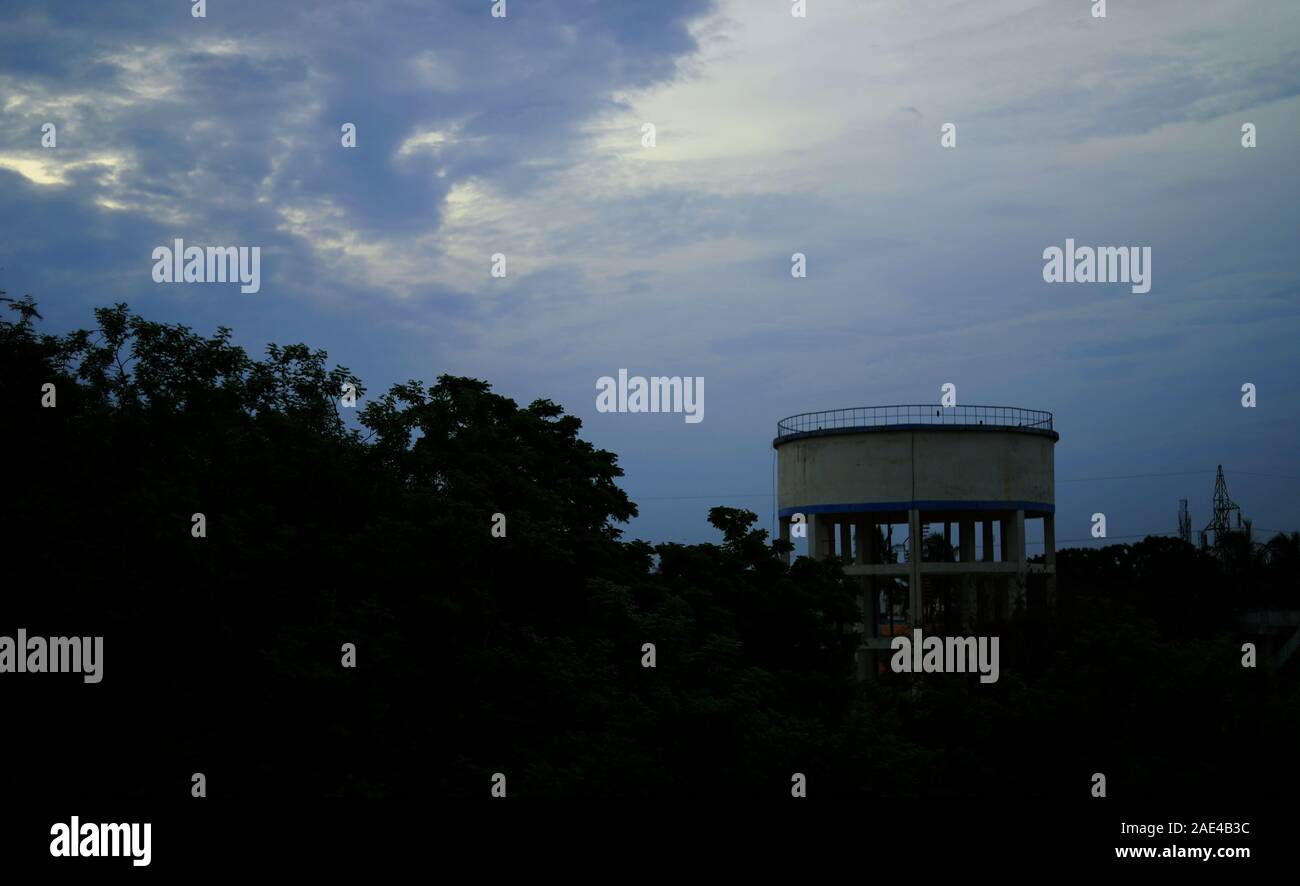 leaves and branches of a mango tree and water tank against a background ...