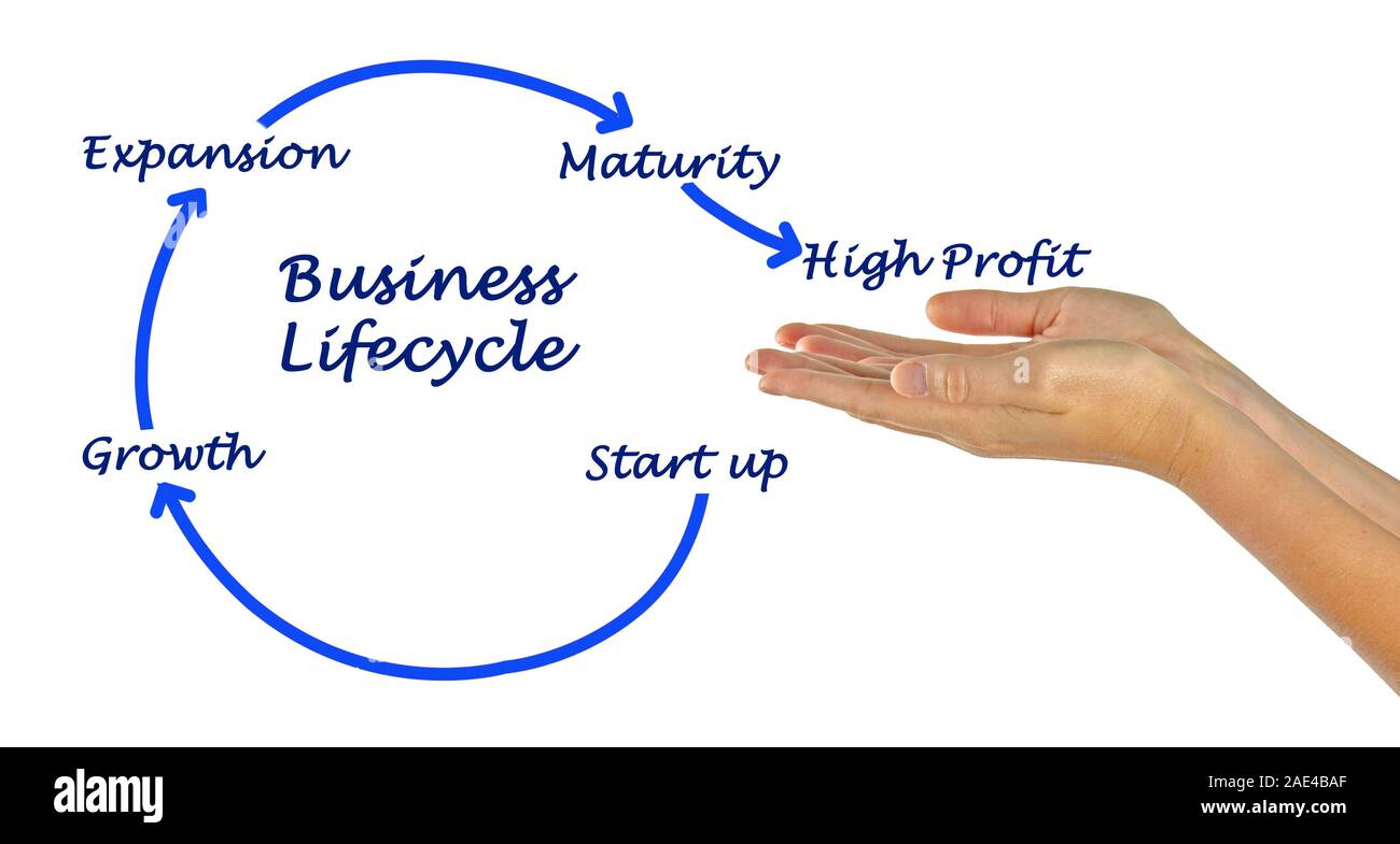 Diagram of Business lifecycle Stock Photo - Alamy