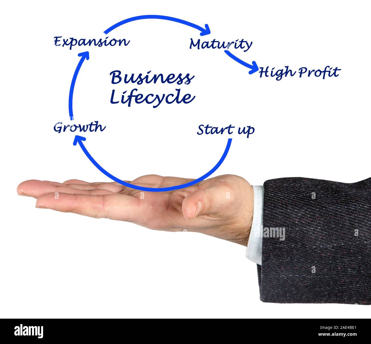 Diagram of Business lifecycle Stock Photo - Alamy