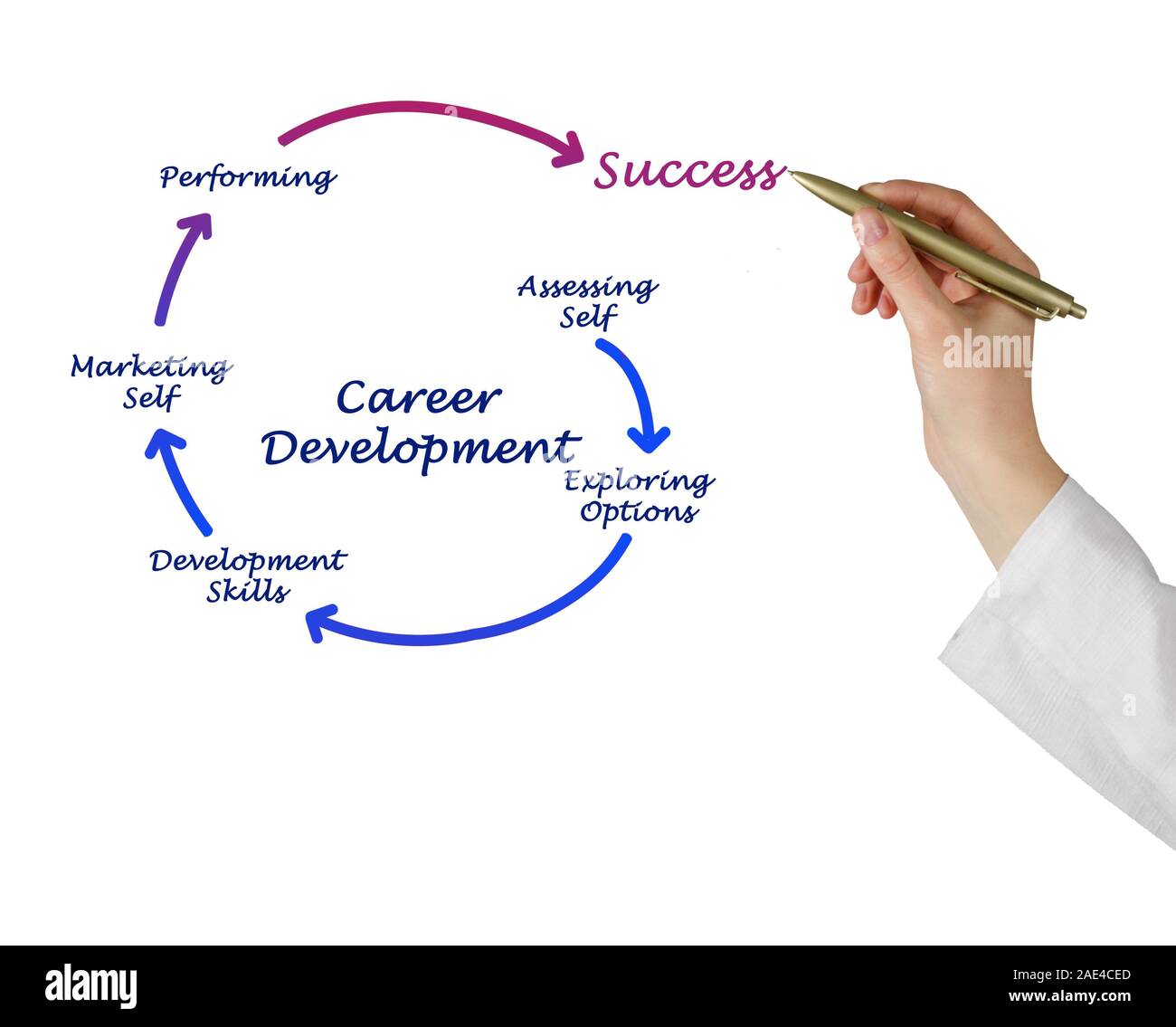 Assessing options hi-res stock photography and images - Alamy