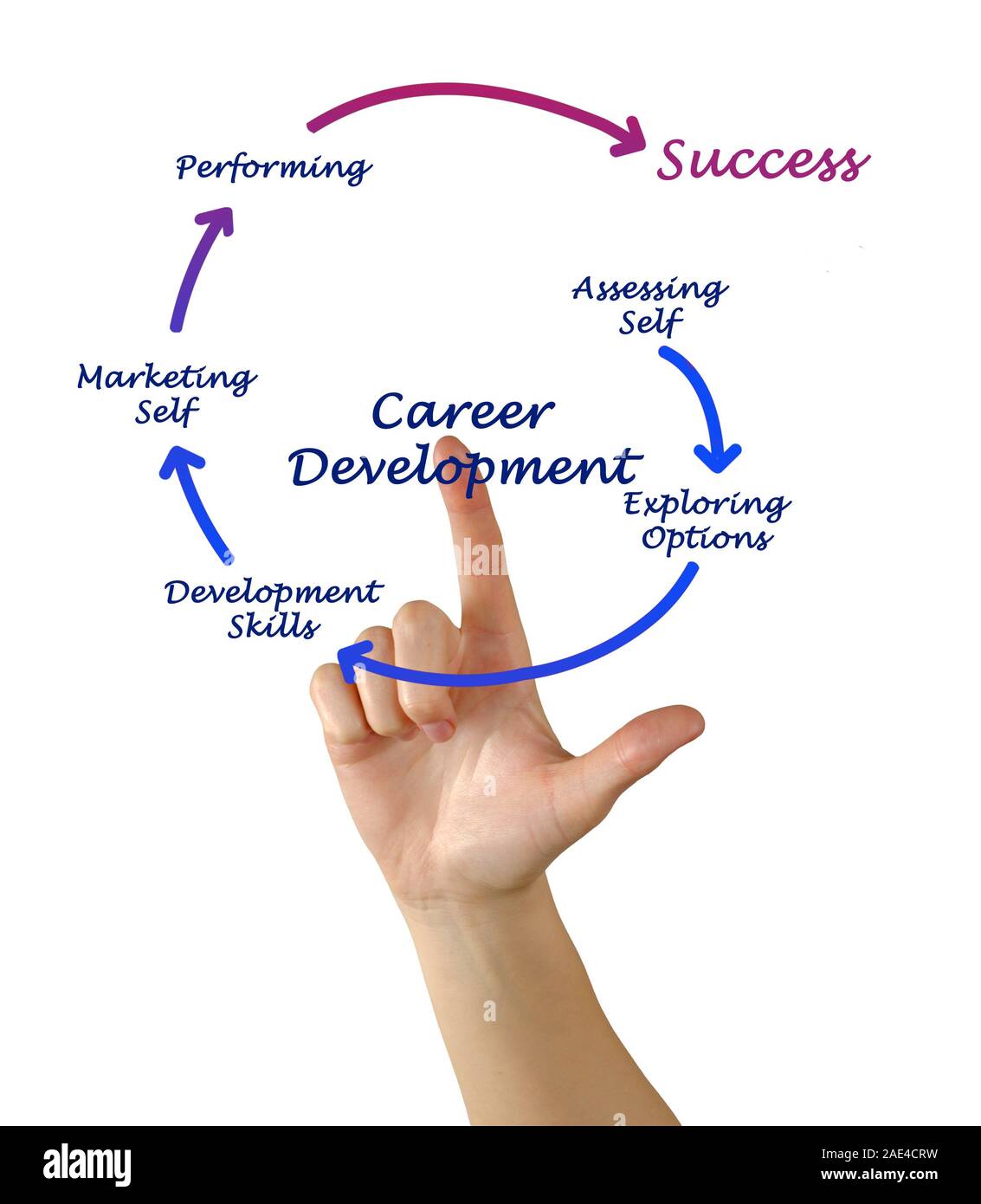 Assessing options hi-res stock photography and images - Alamy