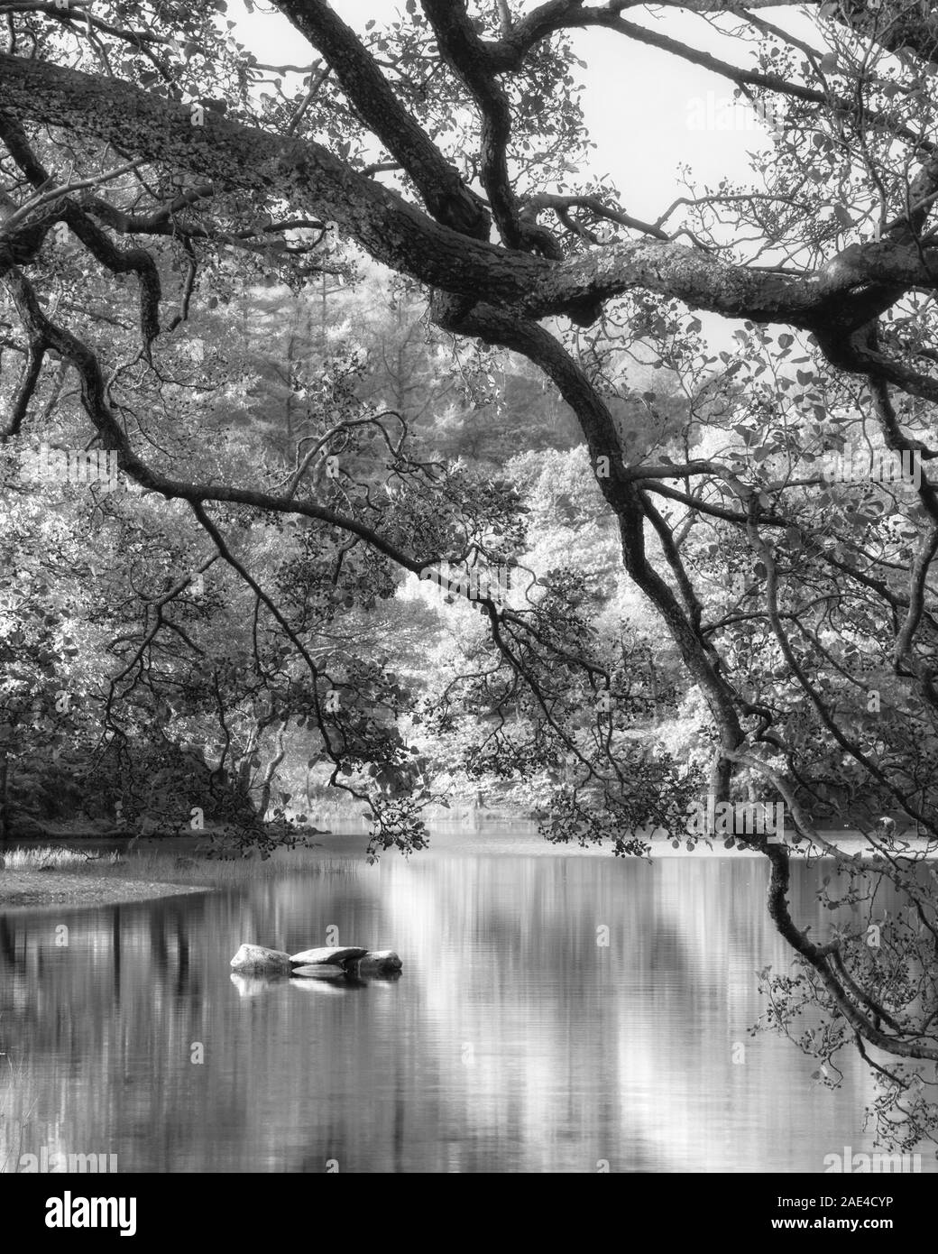 Stunning Autumn Fall landscape of lake in sunrise soft light in English ...