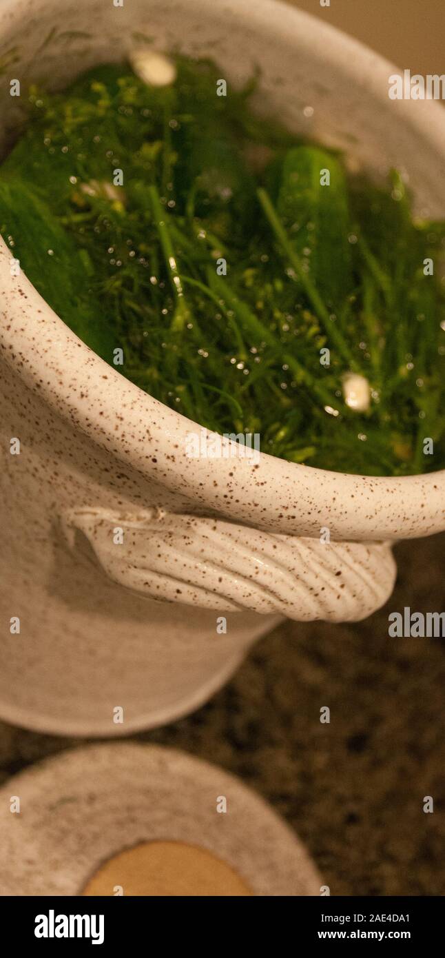 Making Pickles in a Crock Stock Photo - Alamy