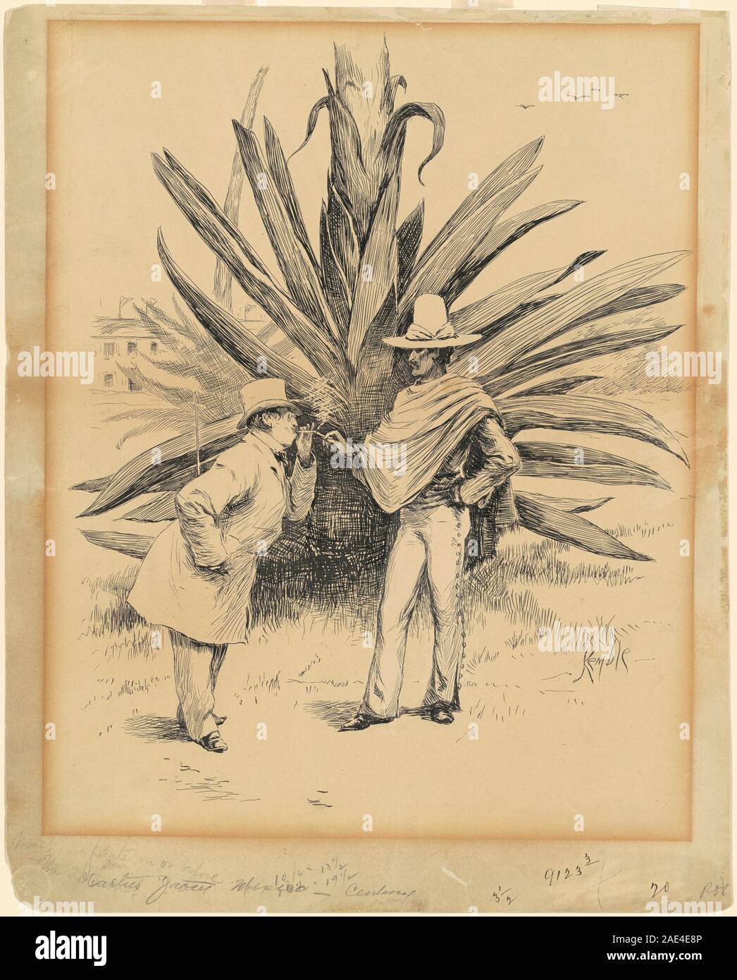 Cactus from Mexico; 1885date Edward Kemble, Cactus from Mexico, 1885 ...