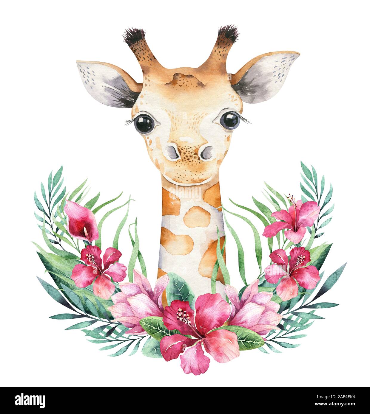 Drawings Of Baby Giraffes