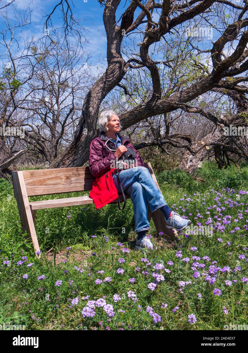 Photographer sits on a bench, Turkey Roost Trail, South Llano River ...