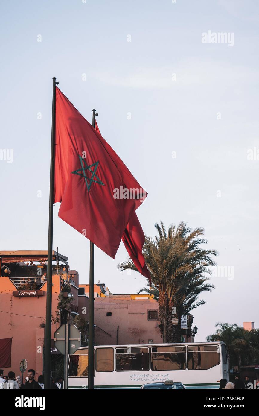 Moroccan flag vector hi-res stock photography and images - Alamy