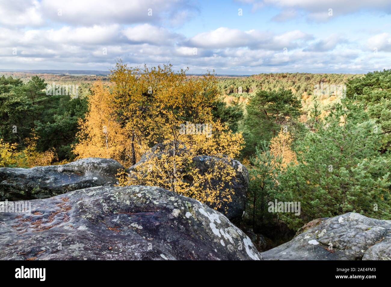 Walking autumn in fontainebleau hi-res stock photography and images - Alamy