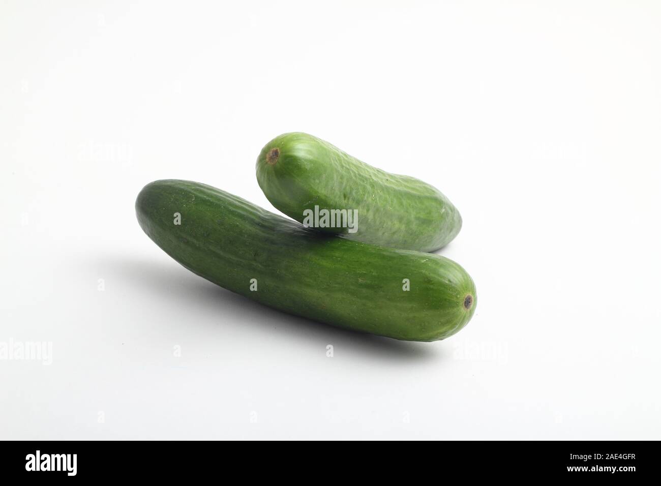 Isolated cucumber. One whole cucumber isolated on white background ...