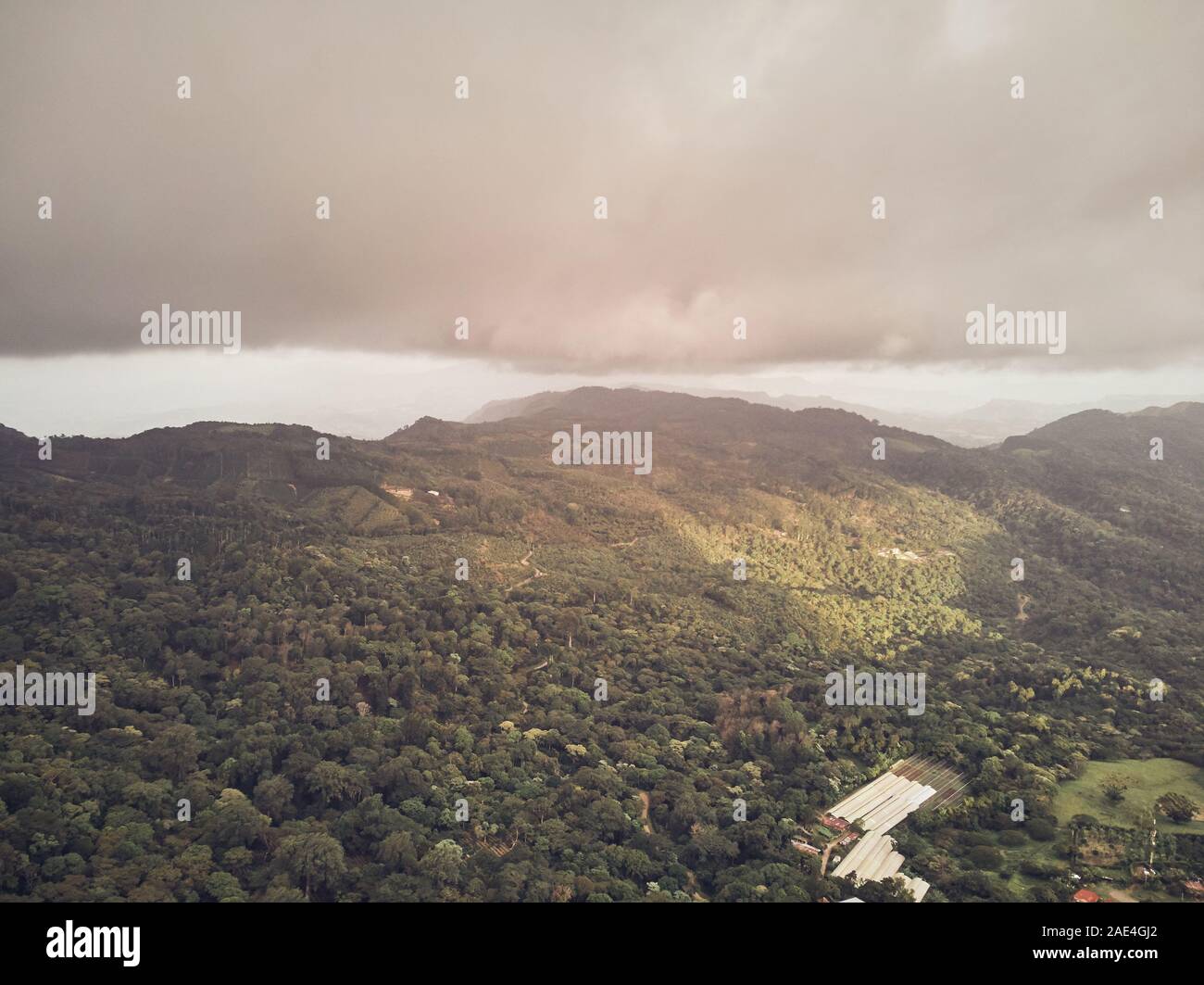 Aerial and coffee plantation hi-res stock photography and images - Alamy